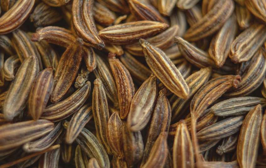 Cumino proprietà, olio, dove si compra