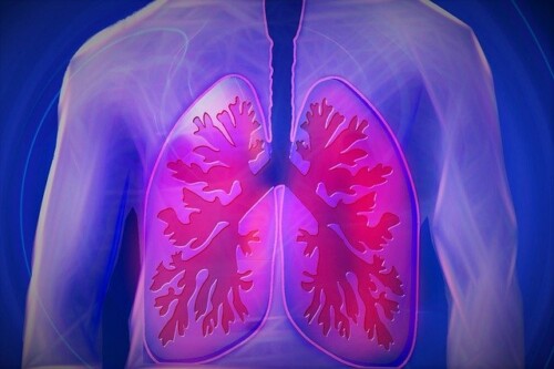Come purificare i polmoni dal fumo con la depurazione naturale Come purificare i polmoni dal fumo con la depurazione naturale