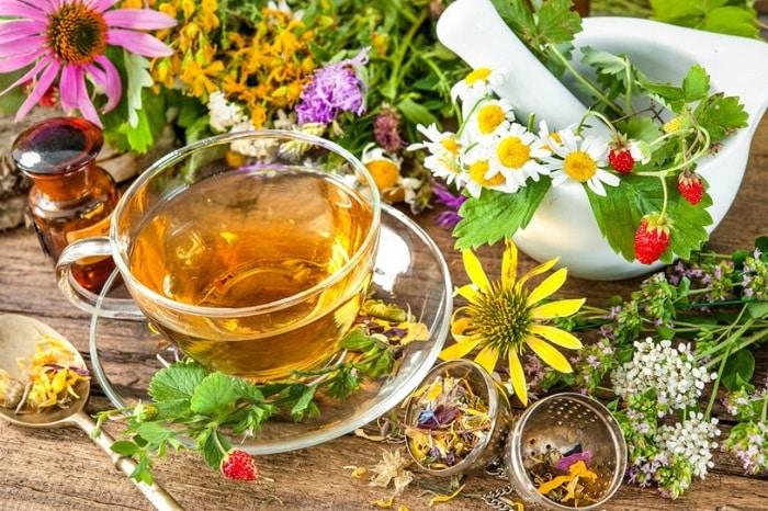Proprietà delle tisane con erbe naturali: preparazione e benefici ...