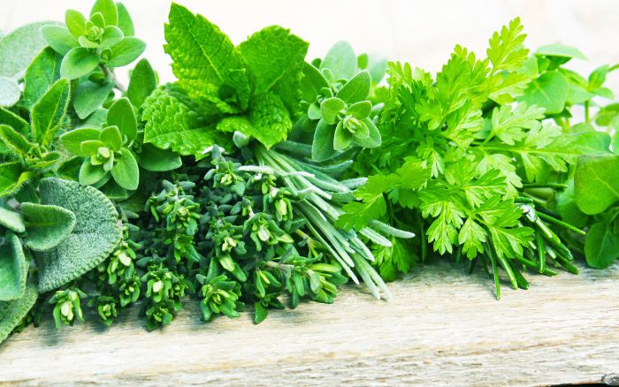 Erbe Aromatiche elenco completo: coltivazione e usi